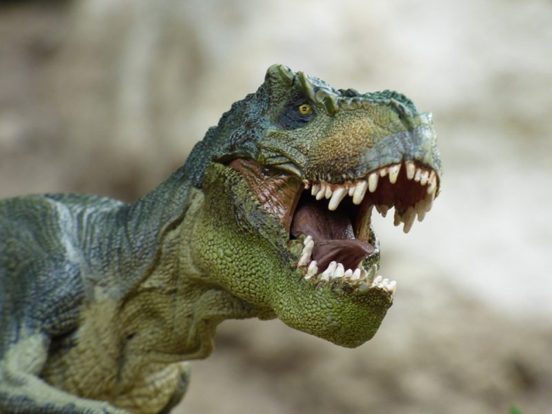 snoring-dinosaur - Top Snoring Solution
